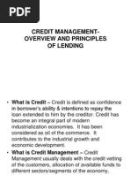 Sample Credit Policies and Procedures Manual | PDF | Loans | Credit
