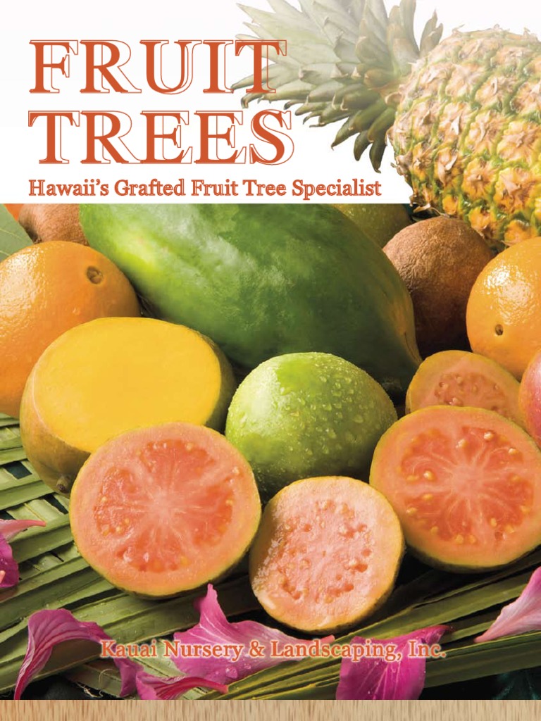 Fruit Trees | PDF | Citrus | Orange (Fruit)