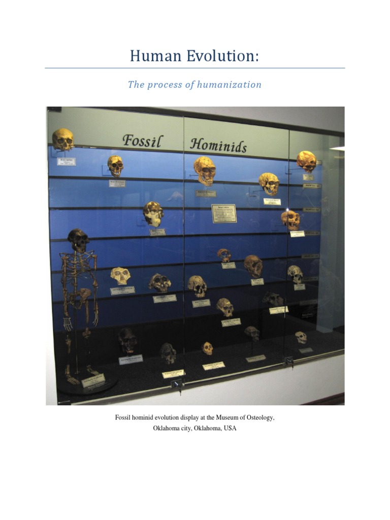 Human Evolution: The Process of Humanization | PDF | Intelligent Design ...