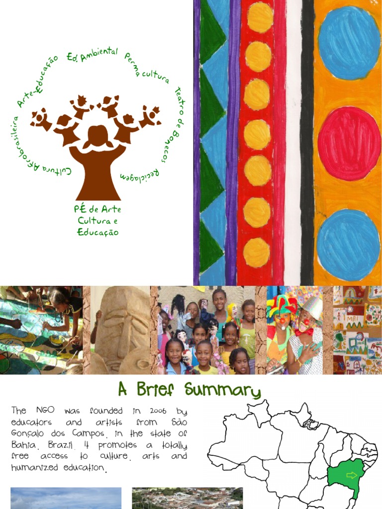 PACE in English | PDF | Non Governmental Organization | Brazil
