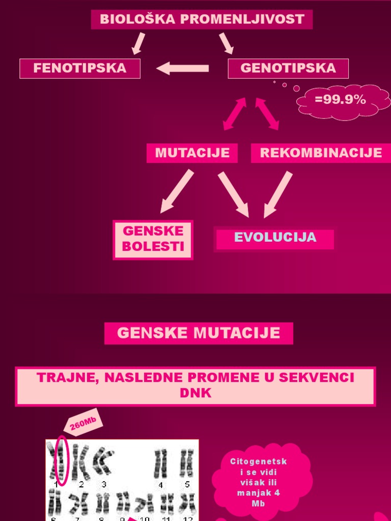 Mutacije | PDF