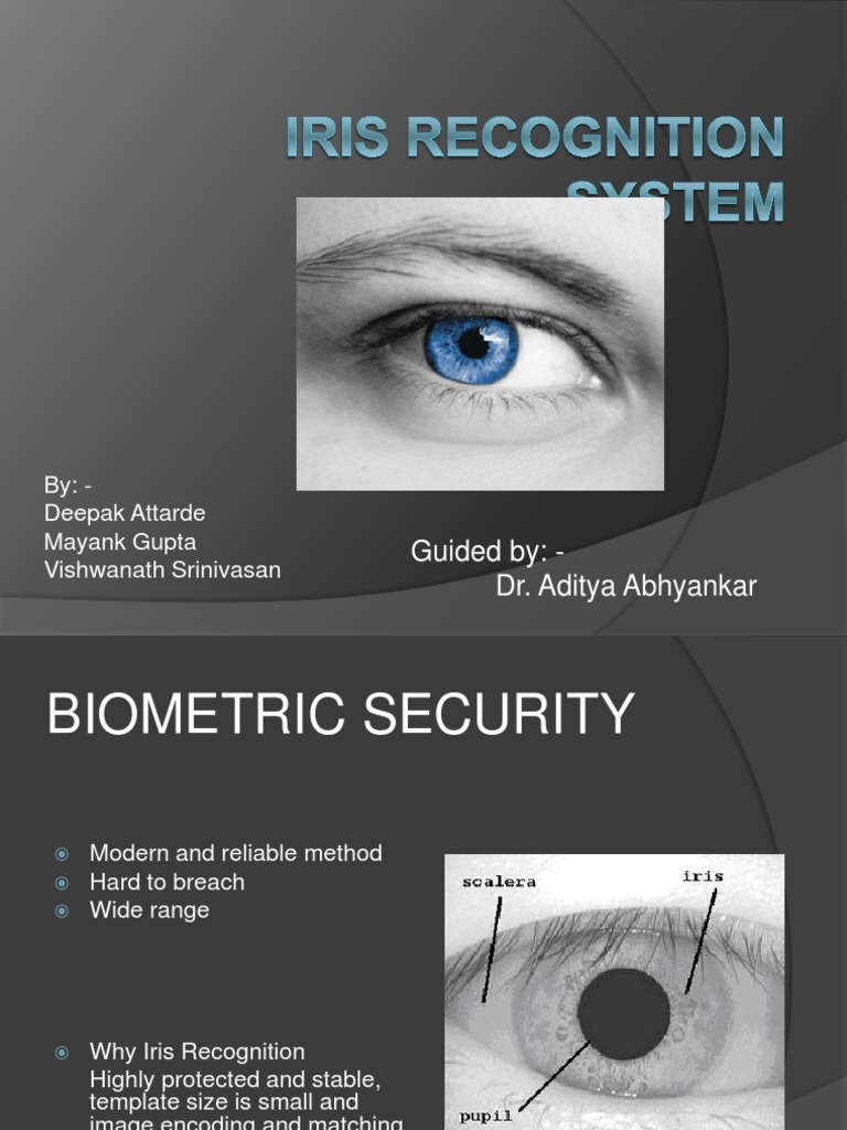 Guided By: - Dr. Aditya Abhyankar: By: - Deepak Attarde Mayank Gupta ...