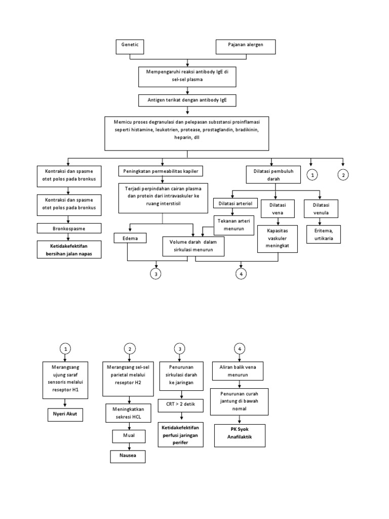 Pathway Alergi | PDF