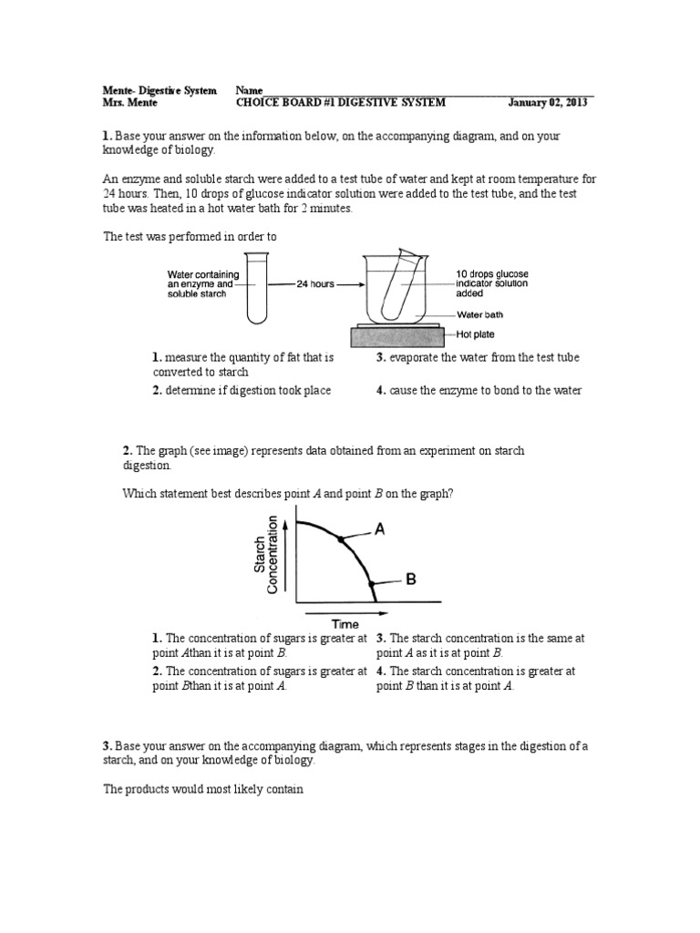Digestive System Choice Board #1 Jan 2-4, 2012 | PDF | Starch | Digestion