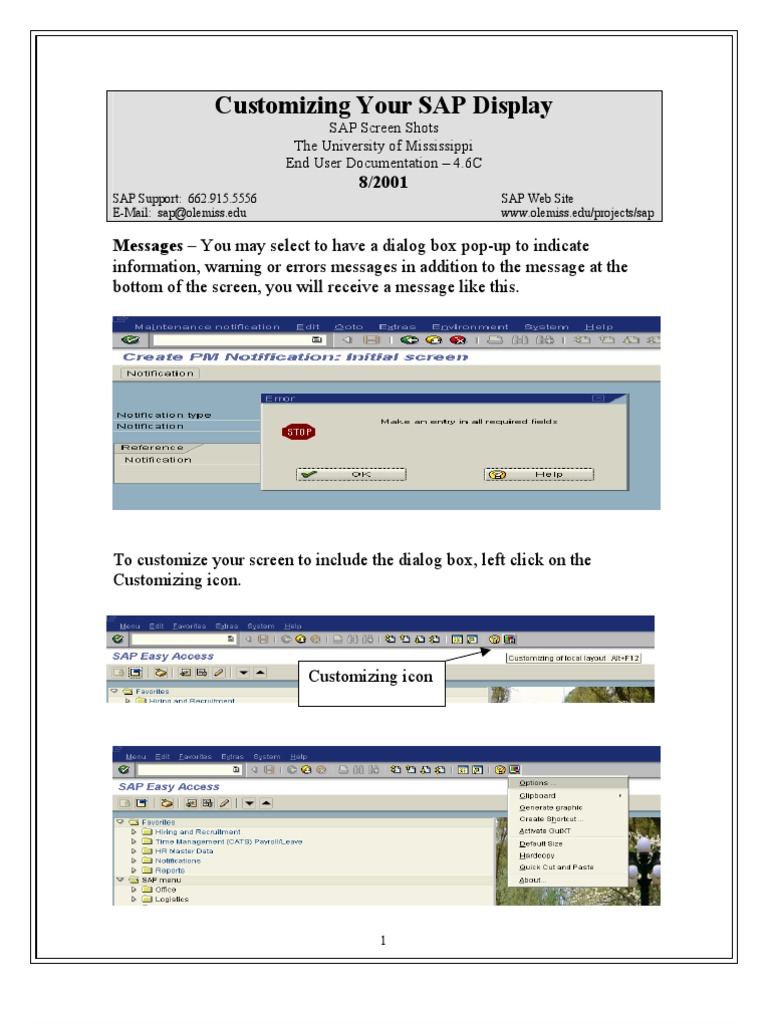 Customizing Your SAP Display | PDF | Icon (Computing) | Graphical User ...