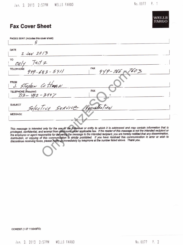 Affidavit: DHS Special Agent (Ret) Stephen Coffman Obama Selective ...