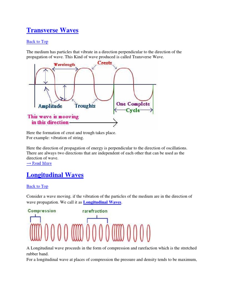 Understanding Transverse and Longitudinal Waves | PDF | Science ...