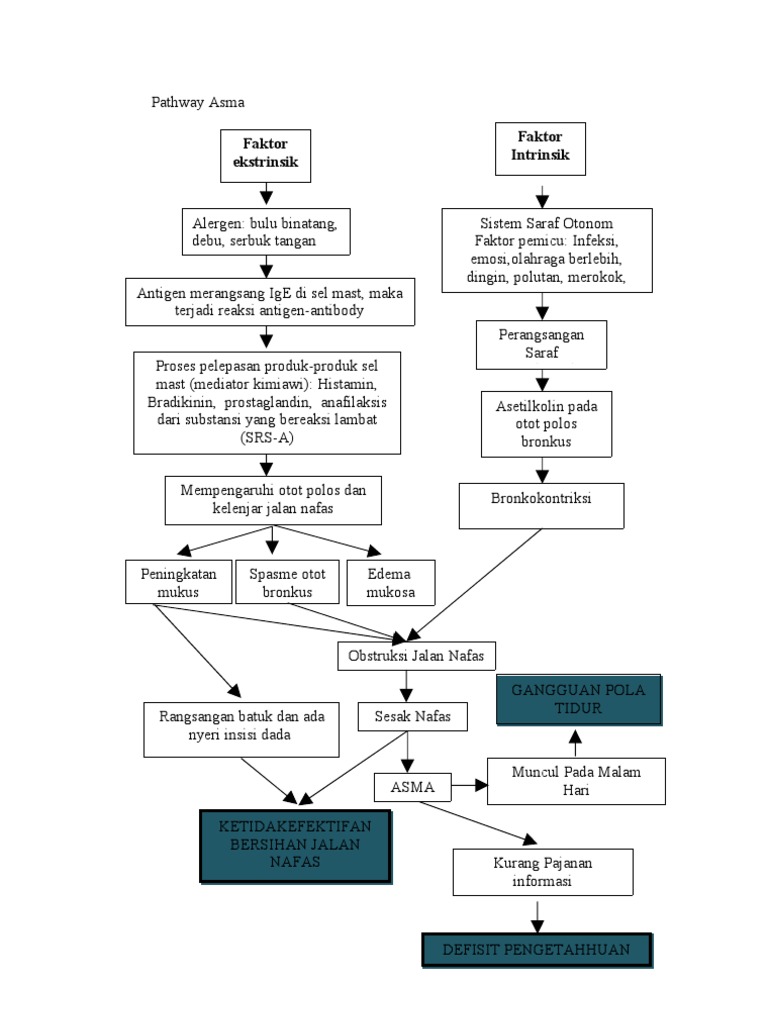 PATHWAY Asma Lengkap | PDF