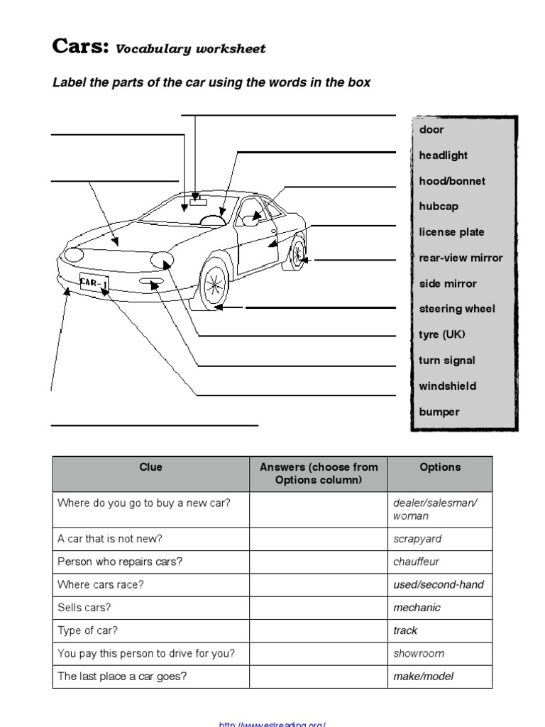 Car Vocabulary Worksheet | PDF