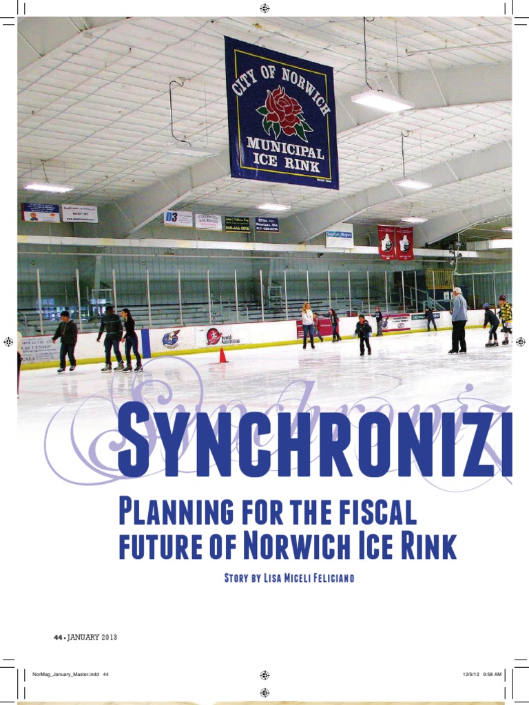 Norwich Ice Rink Financial Revamp | PDF | Sports | Ice Hockey