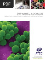 How To Revive Cultures - Atcc Guide | PDF | Freeze Drying | Bacteriophage