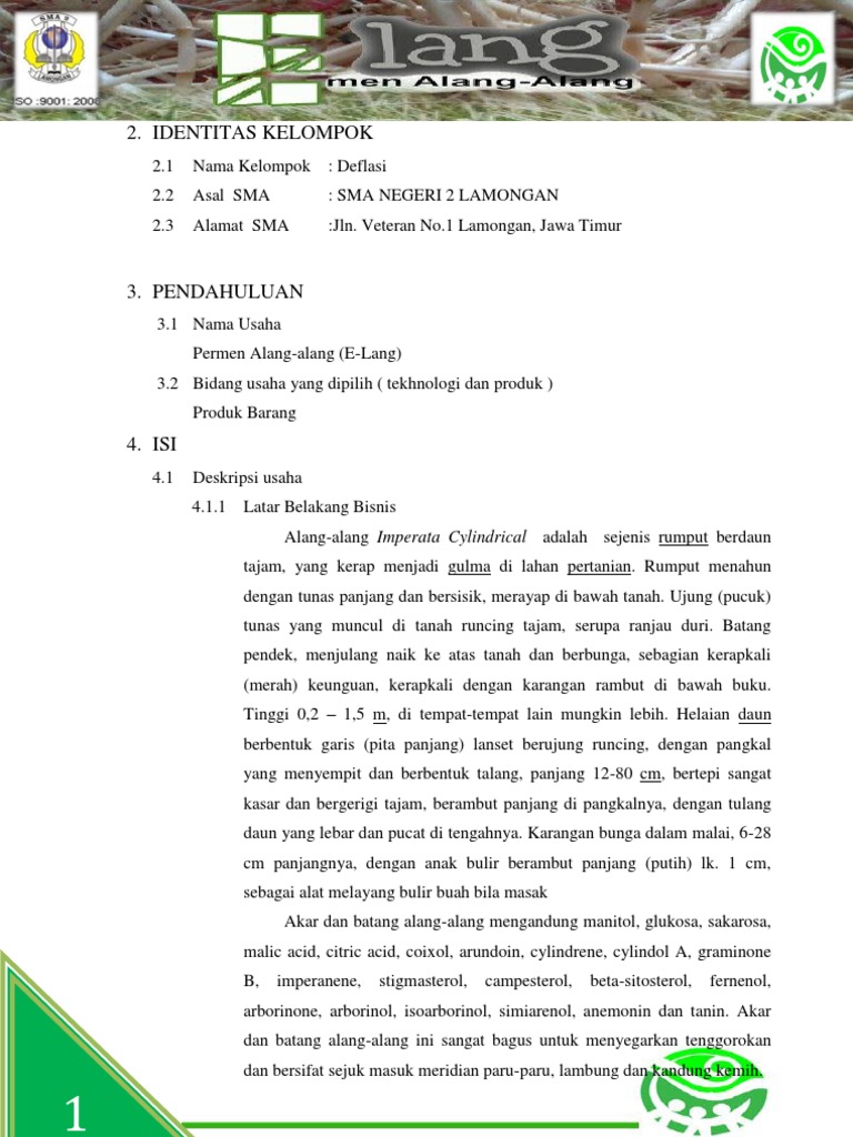 Business Plan Permen Alang-Alang (E-Lang) | PDF