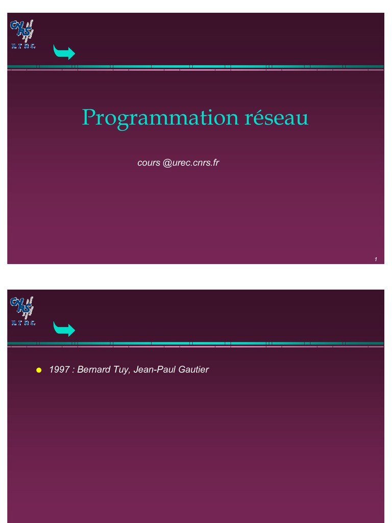 Programmation Reseau PDF | PDF | Architecture de réseau | Standards Internet