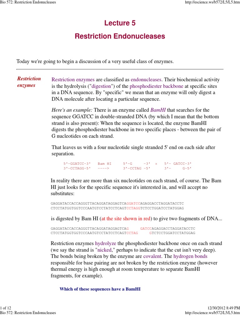 Restriction Endonucleases | PDF | Restriction Enzyme | Directionality ...