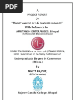 LG Project Report | PDF | Warehouse | Logistics