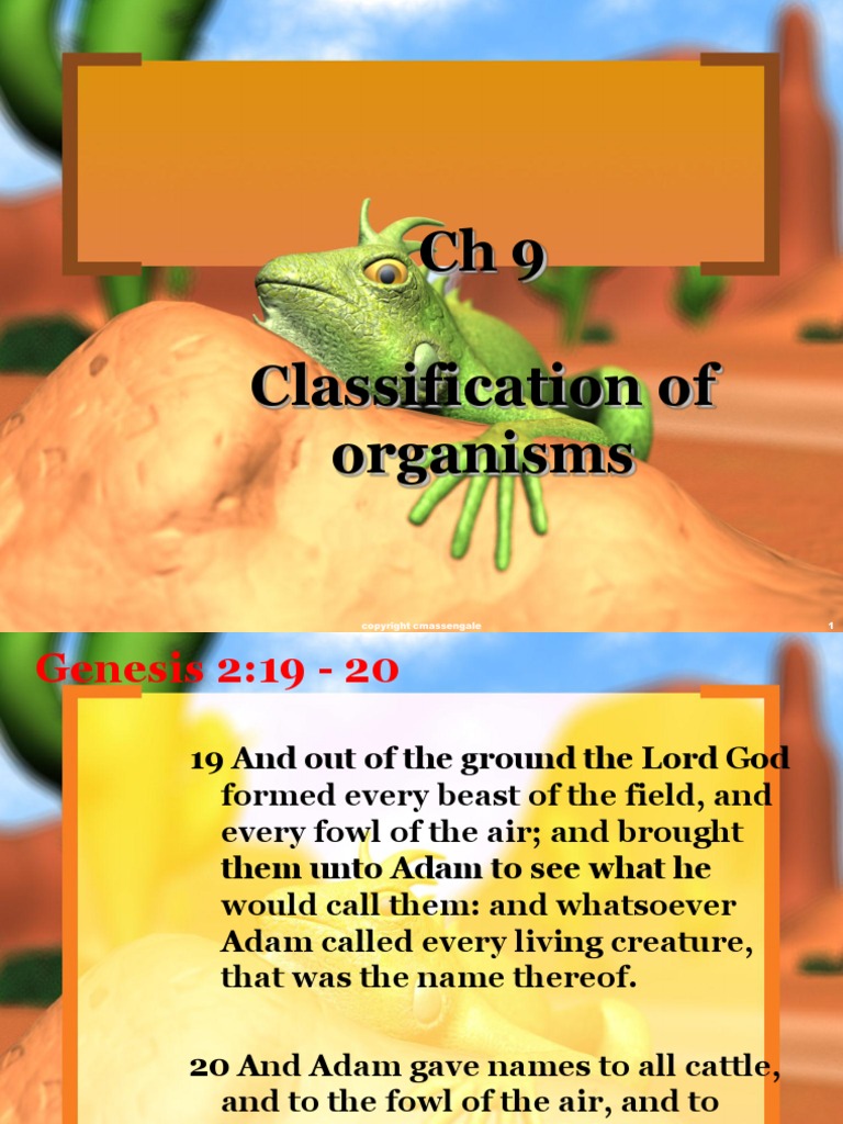 Classification+of+Life 2 | PDF | Taxonomy (Biology) | Archaea