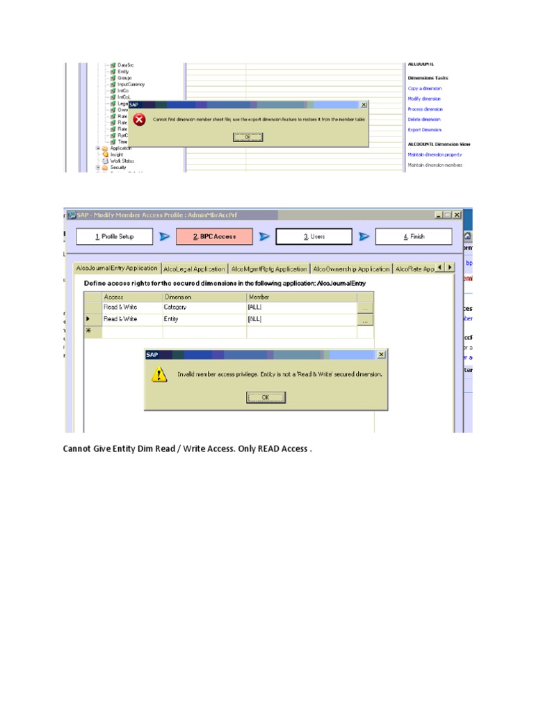 Cannot Give Entity Dim Read / Write Access. Only READ Access | PDF