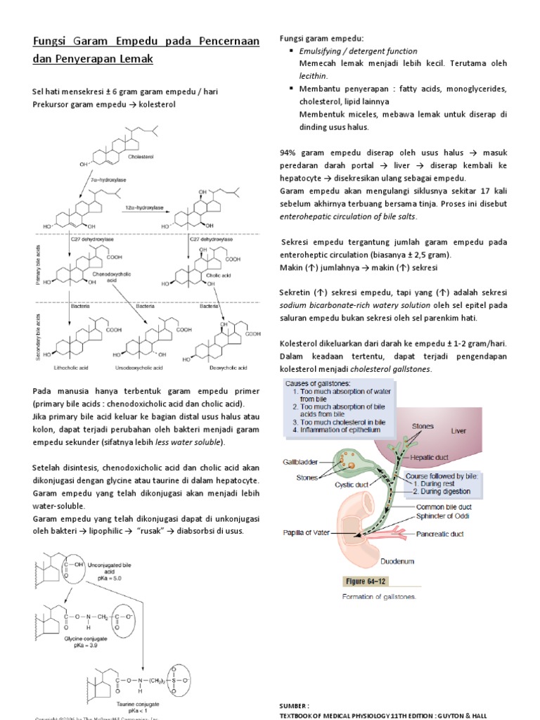 Fungsi Garam Empedu Pada Pencernaan Dan Penyerapan Lemak | PDF ...