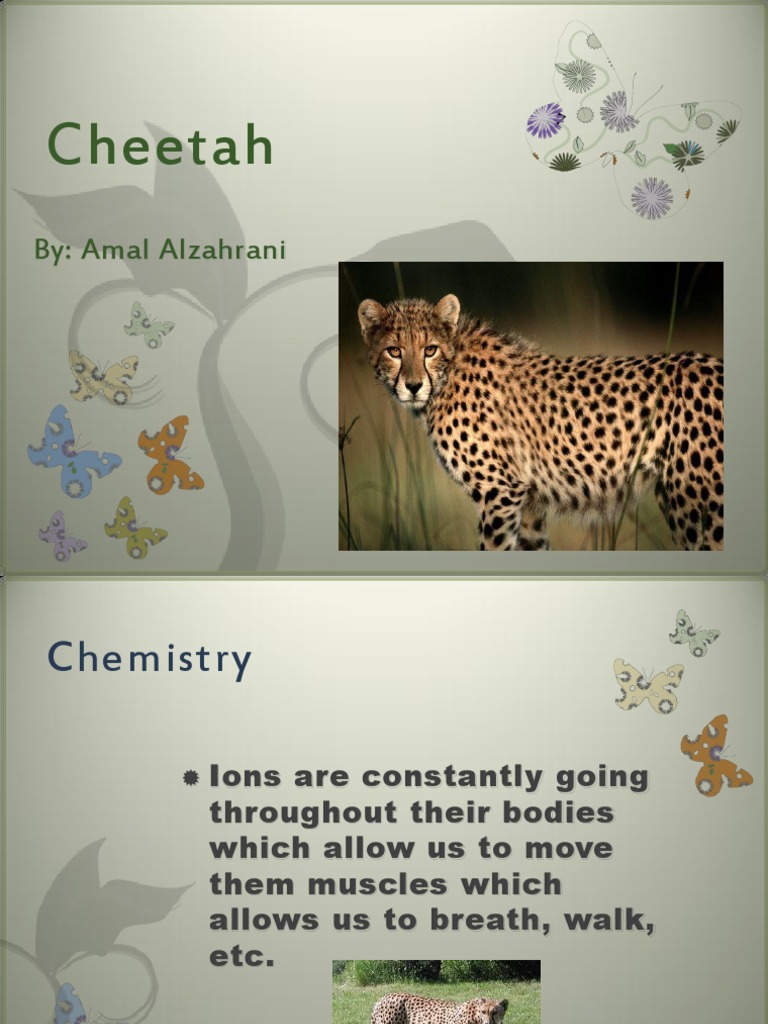 Cheetah: Biology and Chemistry Insights | PDF | Organic Compounds ...