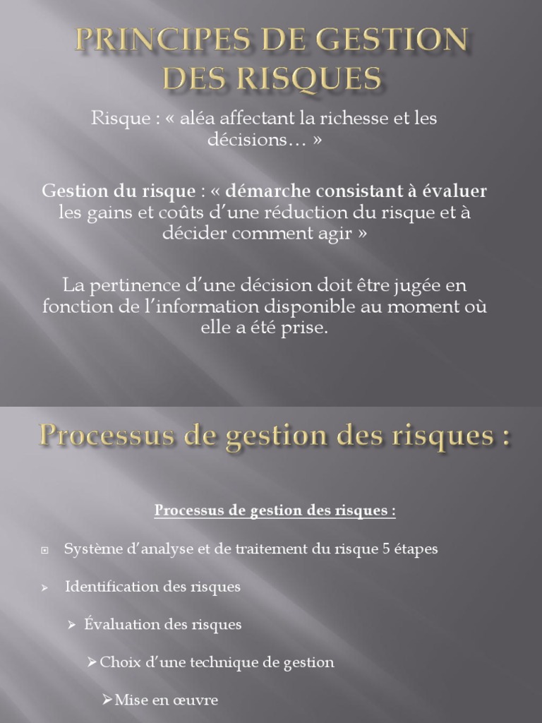 Gestion Des Risques | PDF | Obligation (finance) | Risque