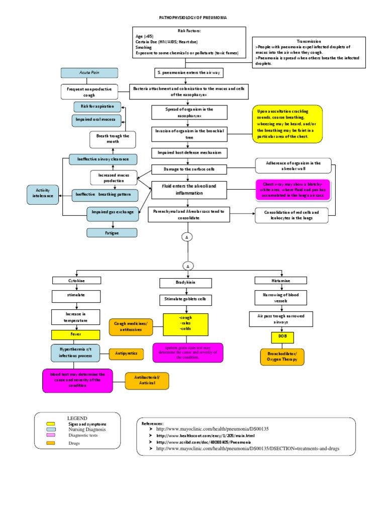 Pathophysiology of Pneumonia