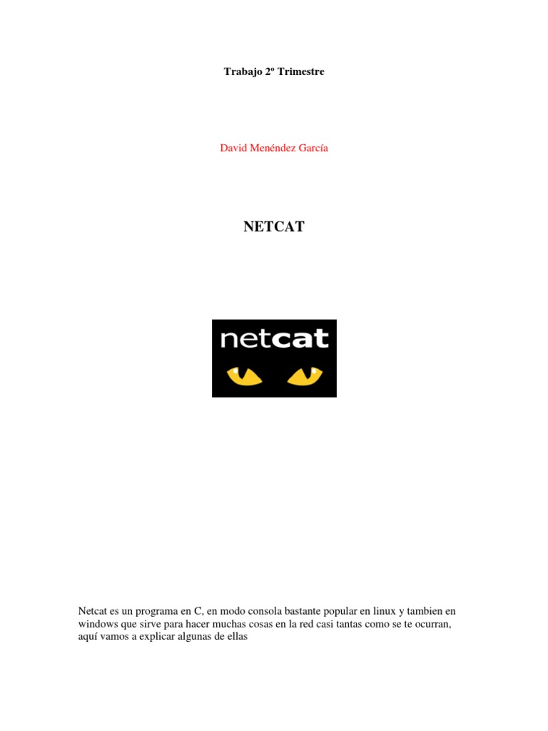 Tutorial Netcat | PDF | Archivo de computadora | Dirección IP