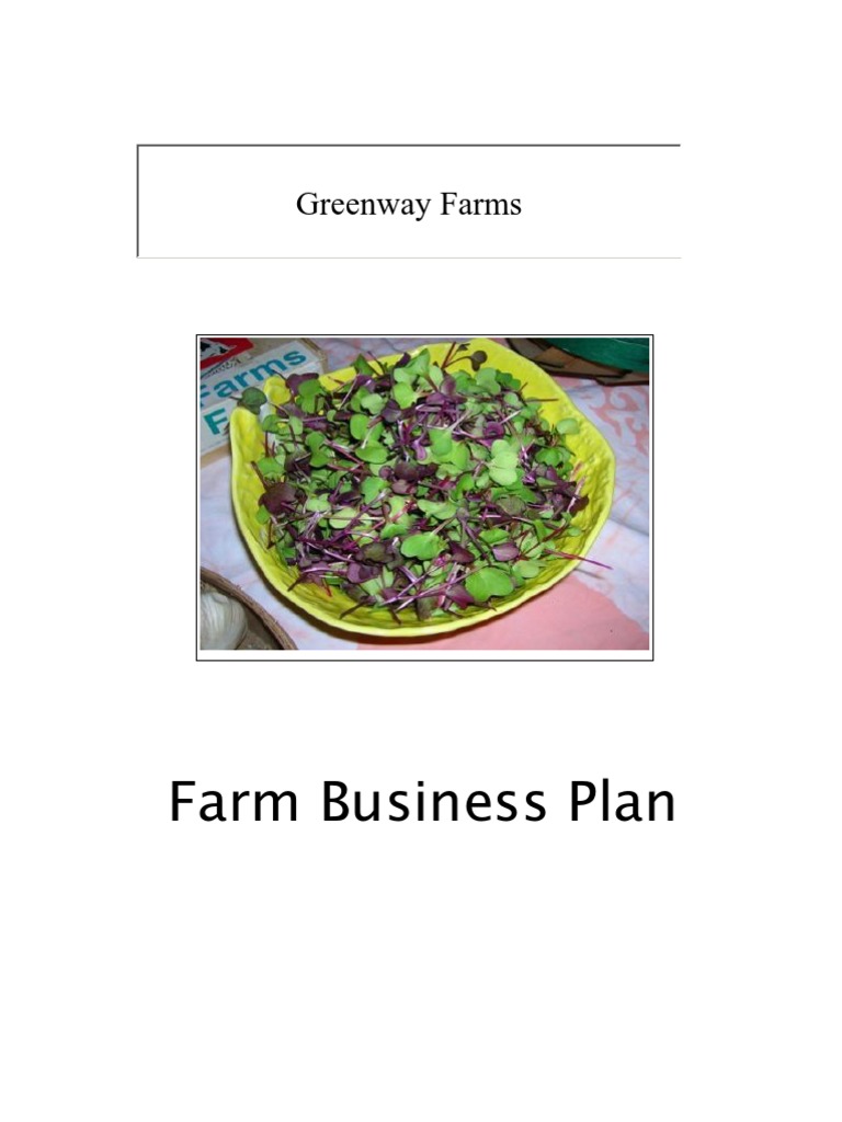 Farm Business Plan | PDF | Farmers' Market | Farms