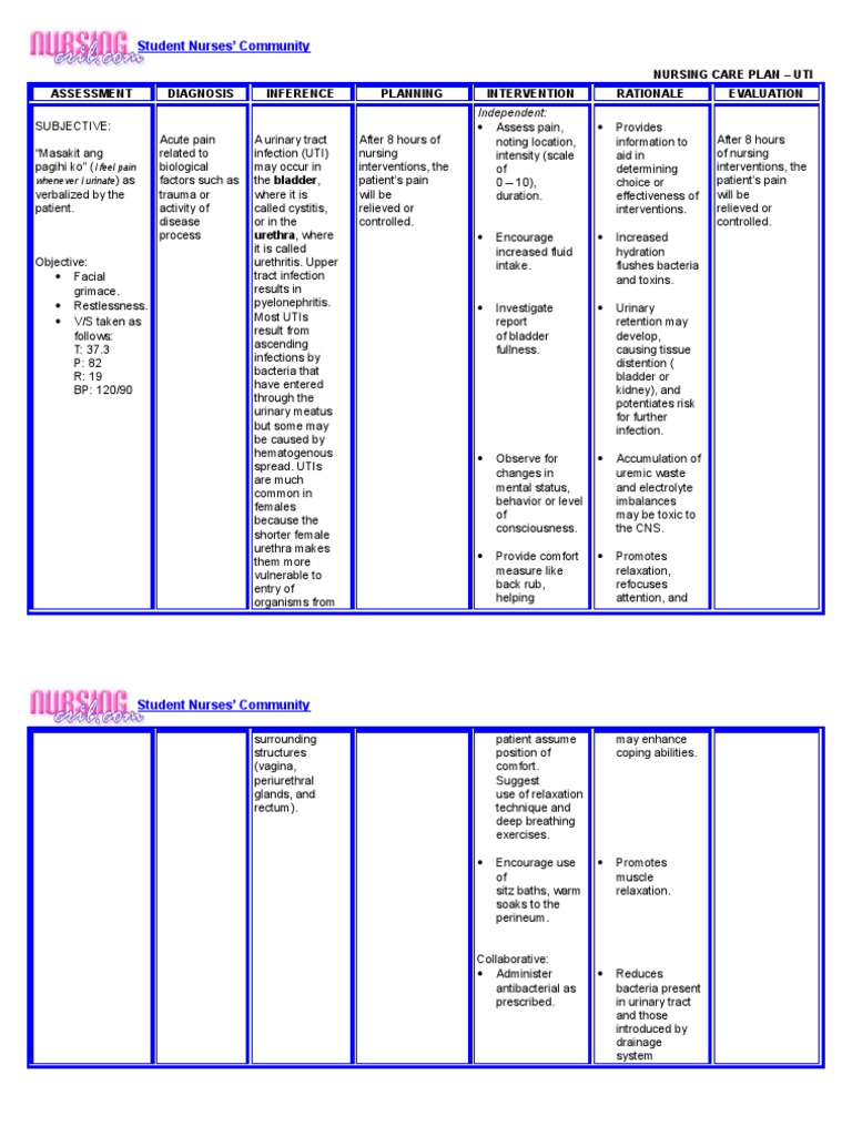 Nursing Care Plan for UTI | PDF | Urinary Tract Infection | Medical ...
