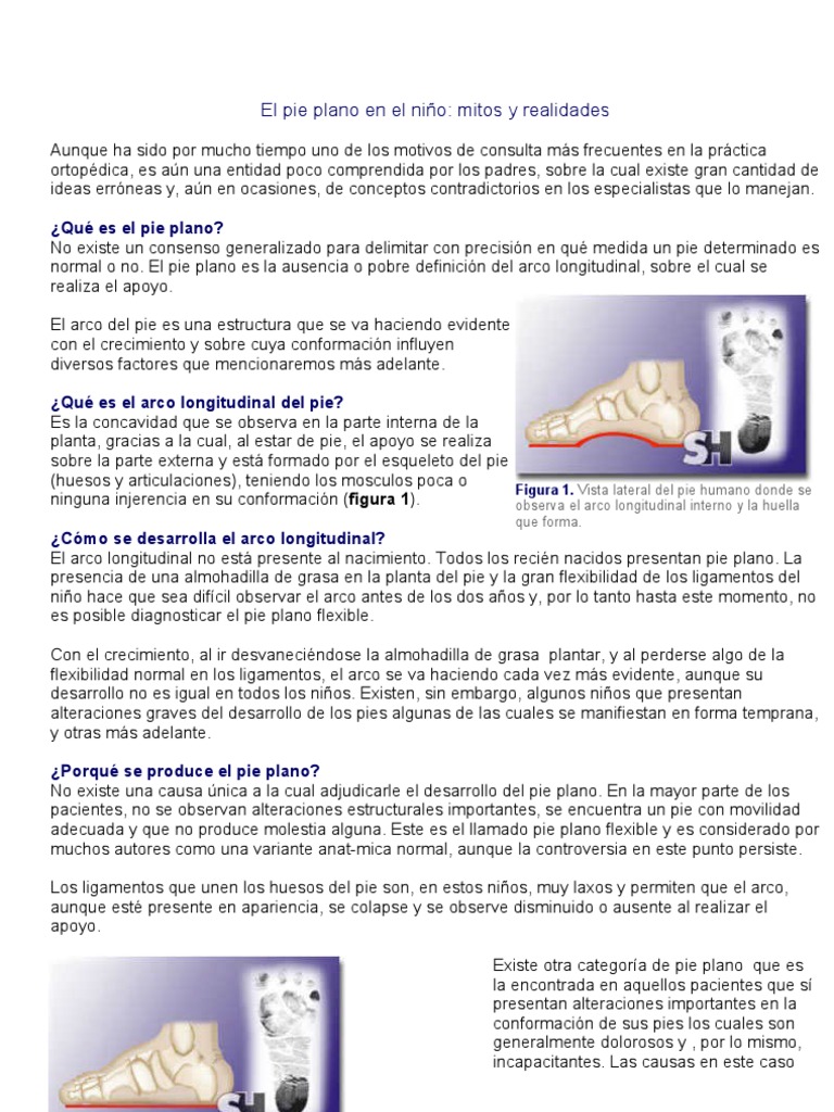 El Pie Plano | PDF | Pie | Tobillo