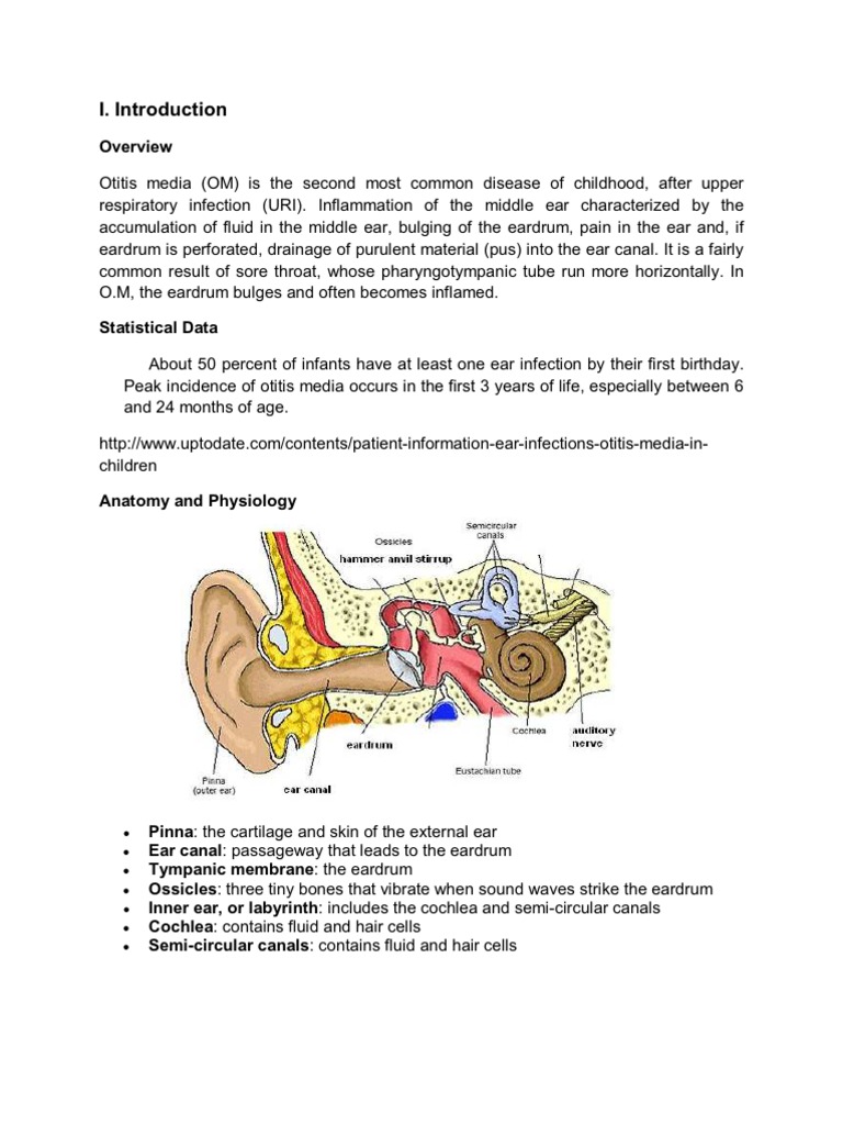 Otitis Media | PDF