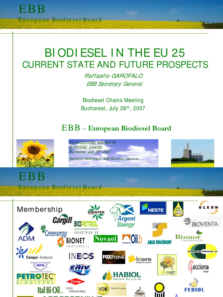 Biodiesel in The Eu 25 Current State and Future Prospects | PDF ...
