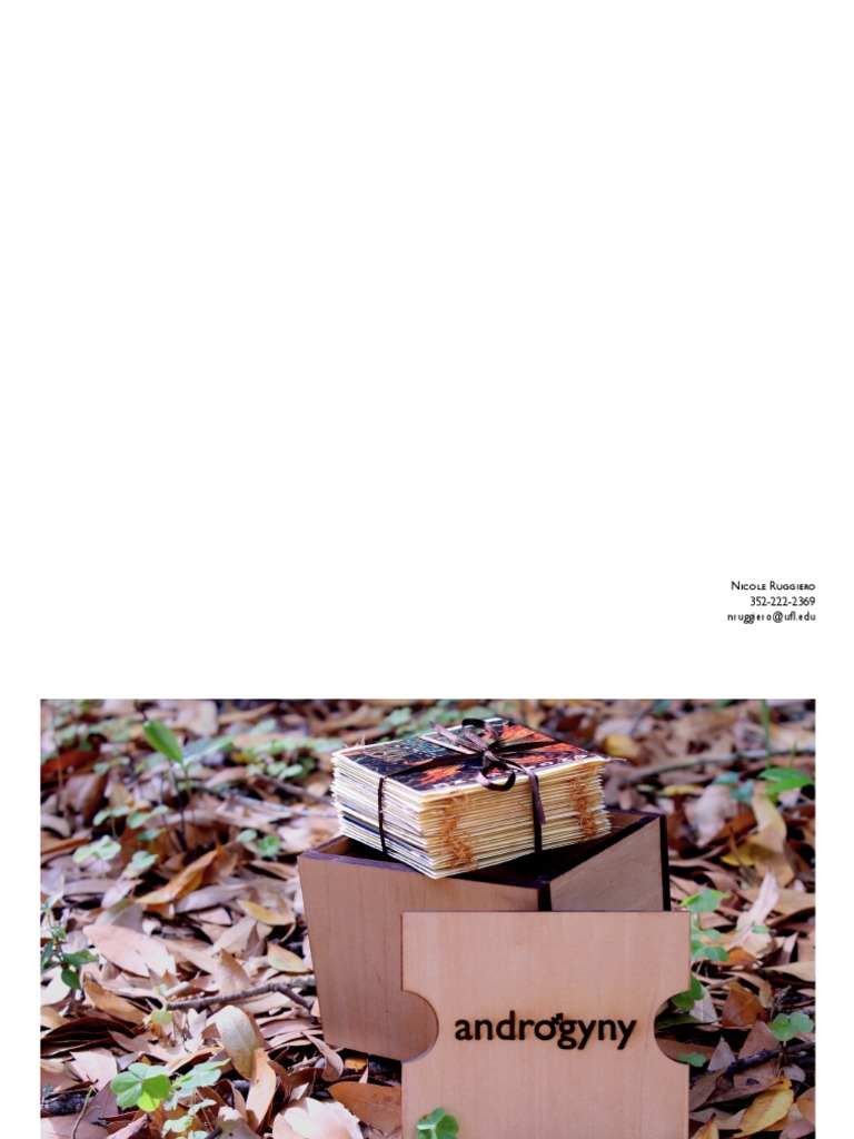 Nicole Ruggiero Design Portfolio | PDF | Graphic Design