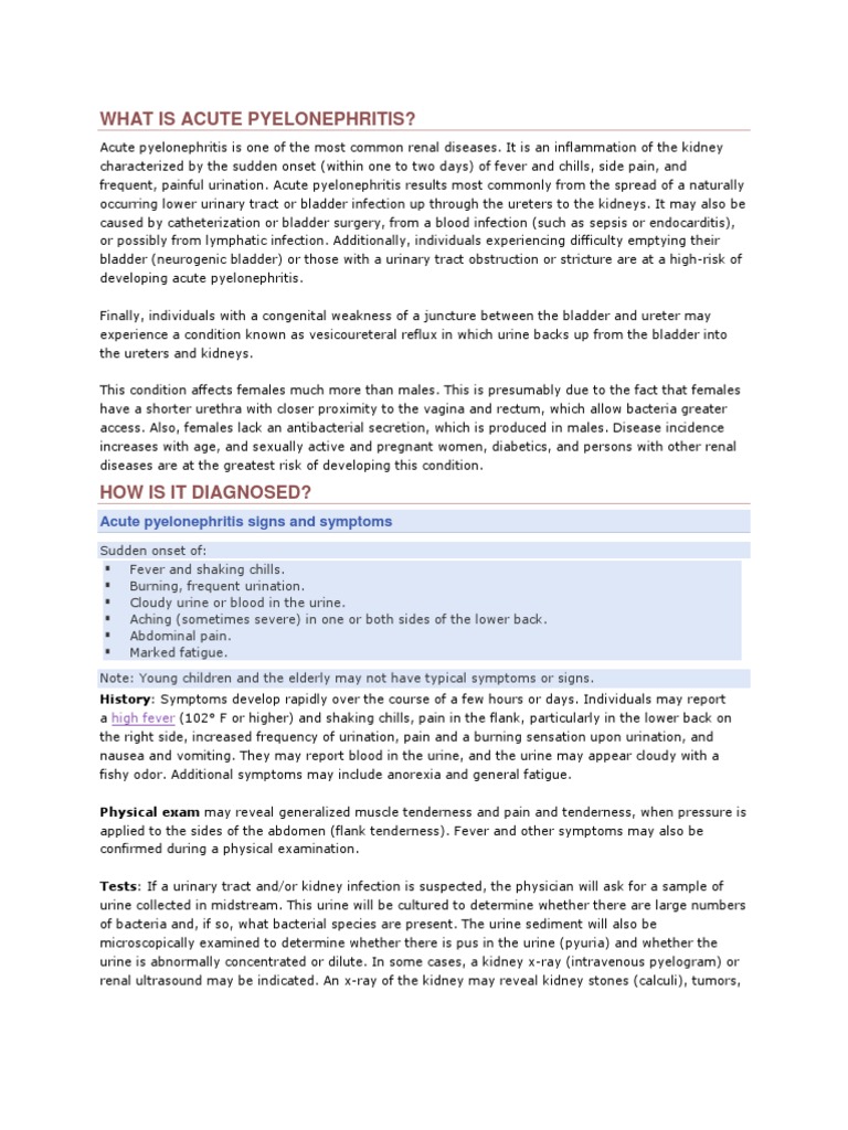 Understanding Acute Pyelonephritis | PDF | Urinary Tract Infection ...