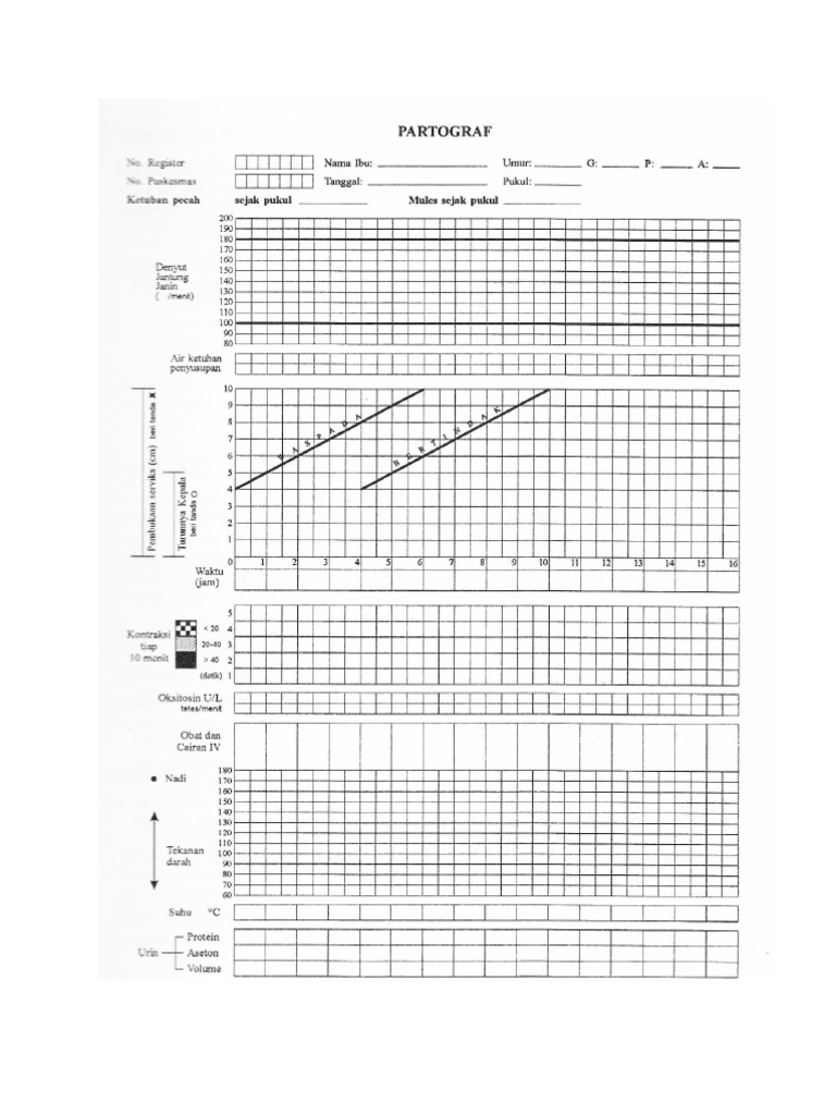 Format Partograf | PDF