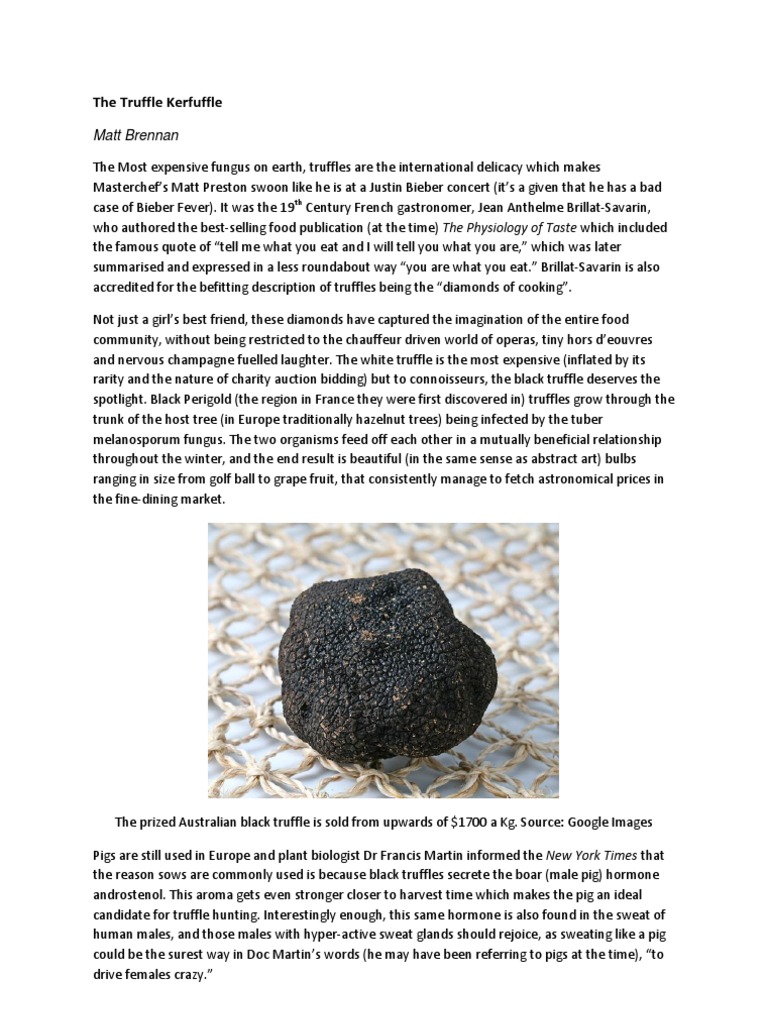 The Truffle Kerfuffle | PDF | Pig | Nature