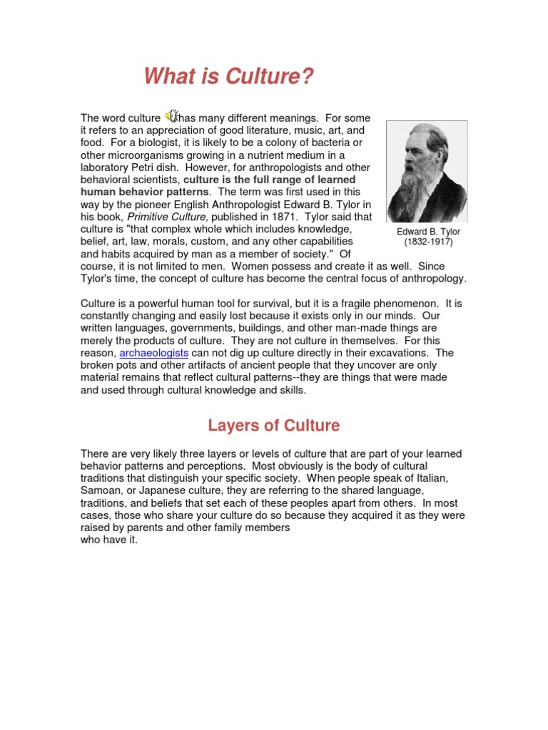 What is Culture? Understanding Layers of Culture and How it Differs ...