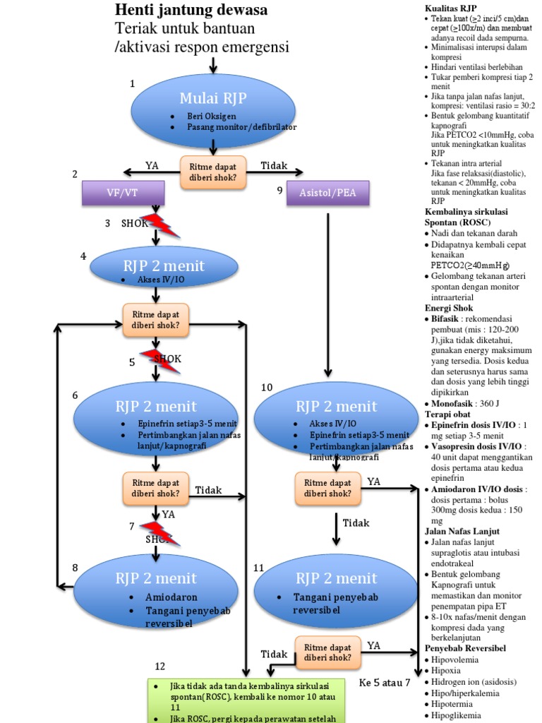 algoritma Resusitasi Jantung Paru