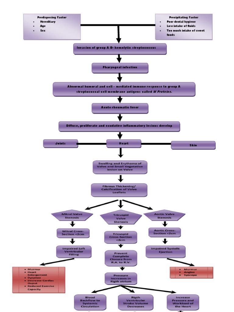 Pathophysiology RHD | PDF
