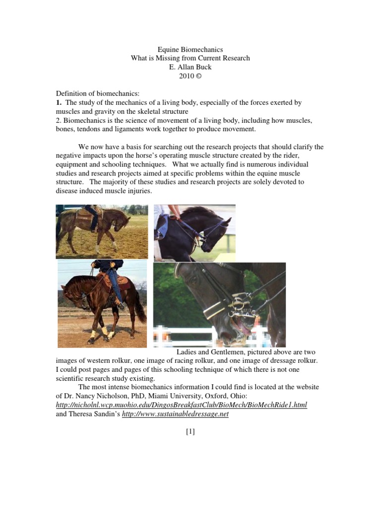Equine Biomechanics | PDF | Horses | Nature