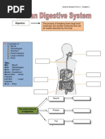 Form 2 Science Exercise by Kelvin - Chapter 2 | PDF | Food And Drink ...