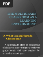 Basic Principles Underlying Multigrade Teaching | PDF