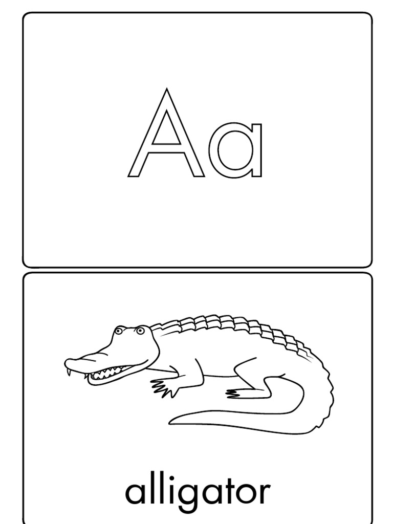 Alligator | PDF | History