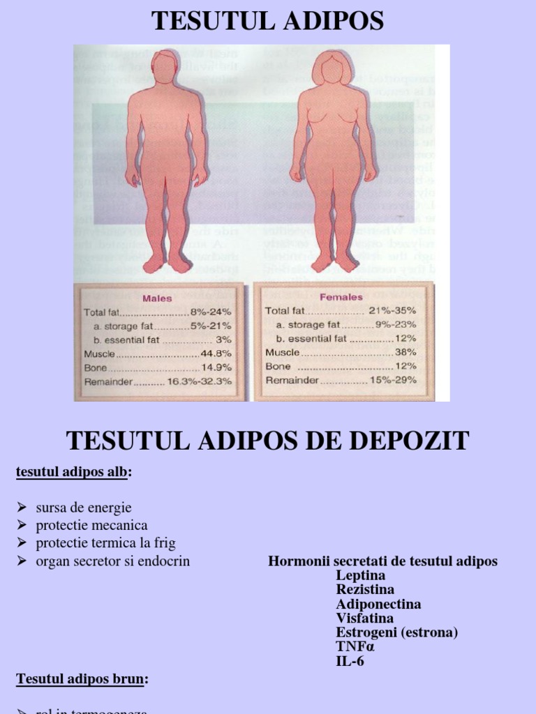 tesut adipos