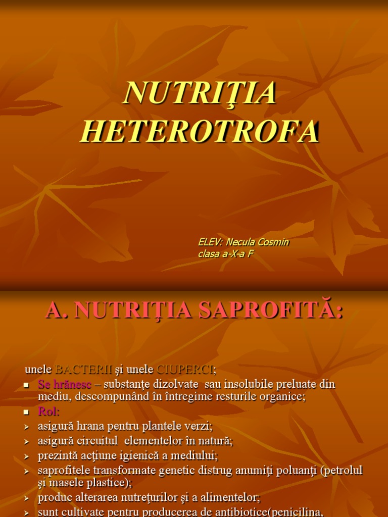 Nutritia Heterotrofa