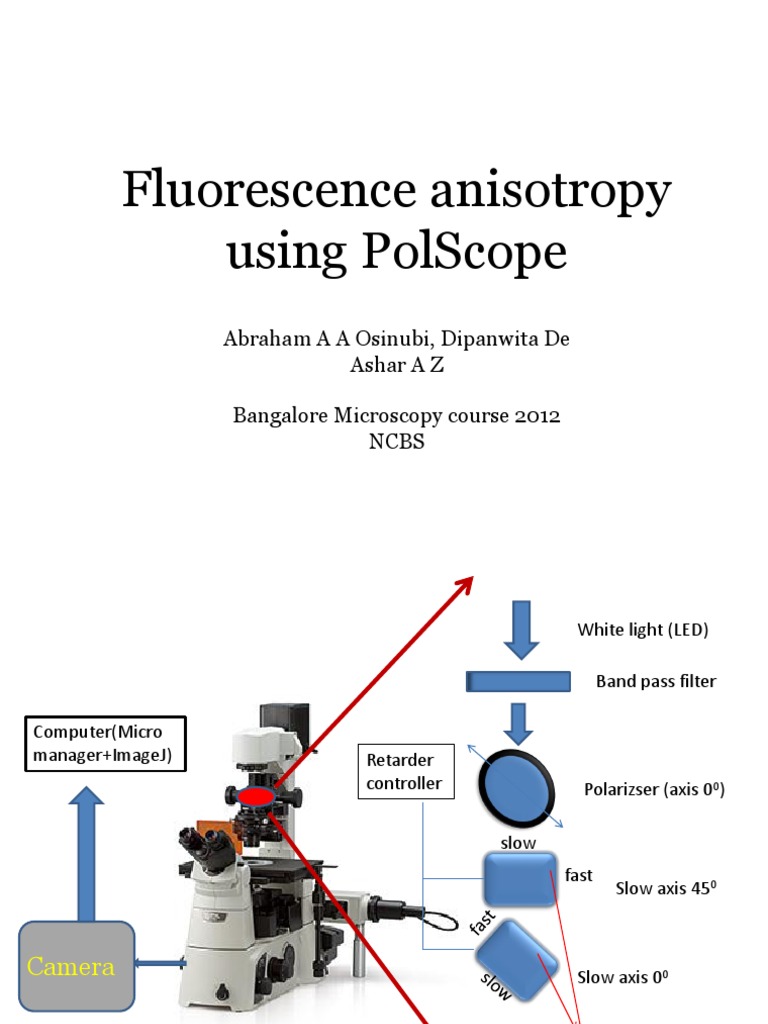 Advanced Microscopy Techniques | PDF