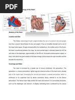 Human Heart PDF | PDF