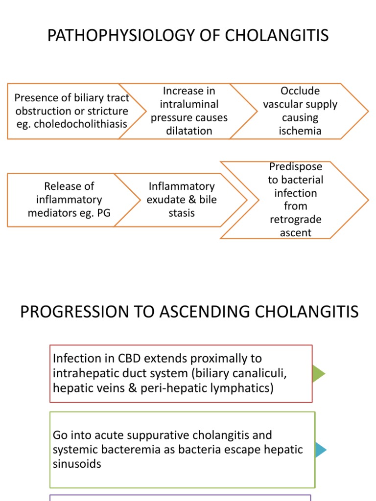 Pathophysiology of Cholangitis
