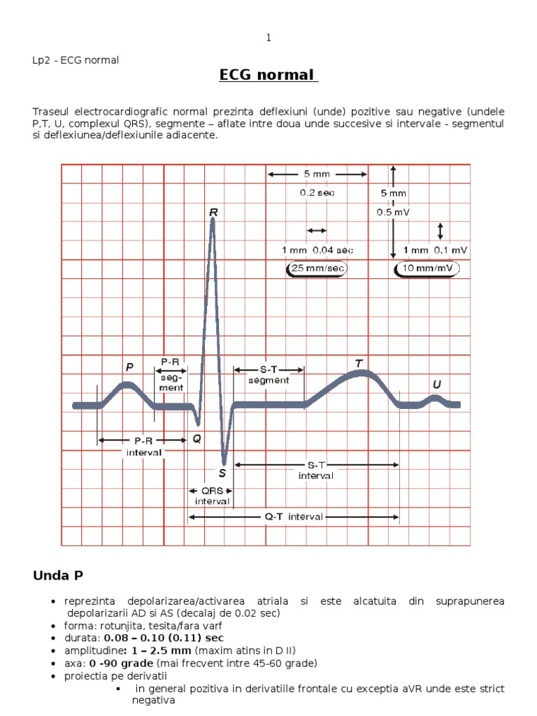 EKG Normal 2 | PDF