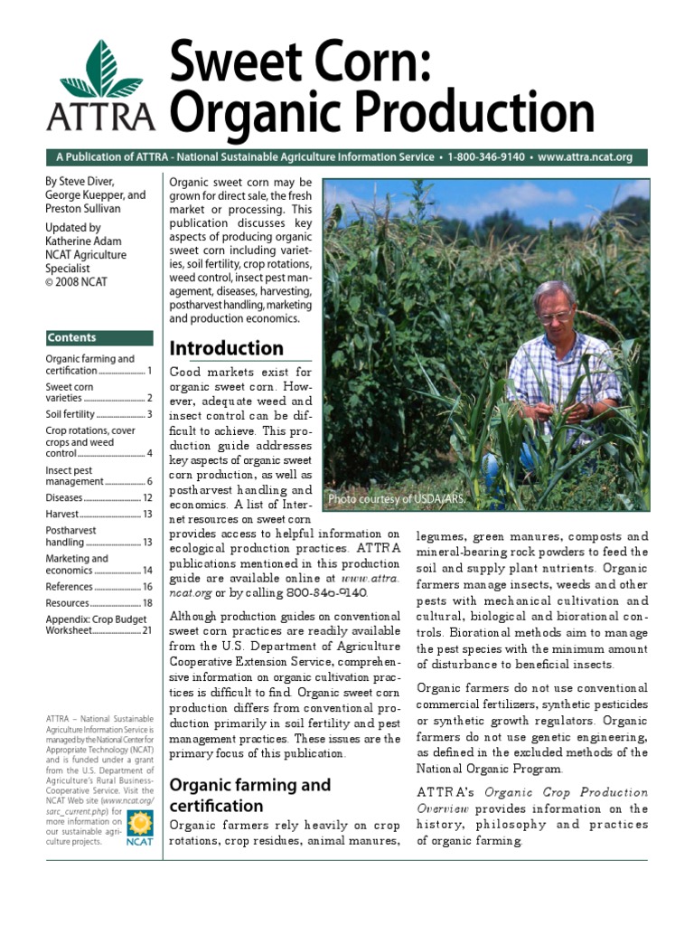 Organic Sweet Corn Production: A Guide to Variety Selection, Soil ...