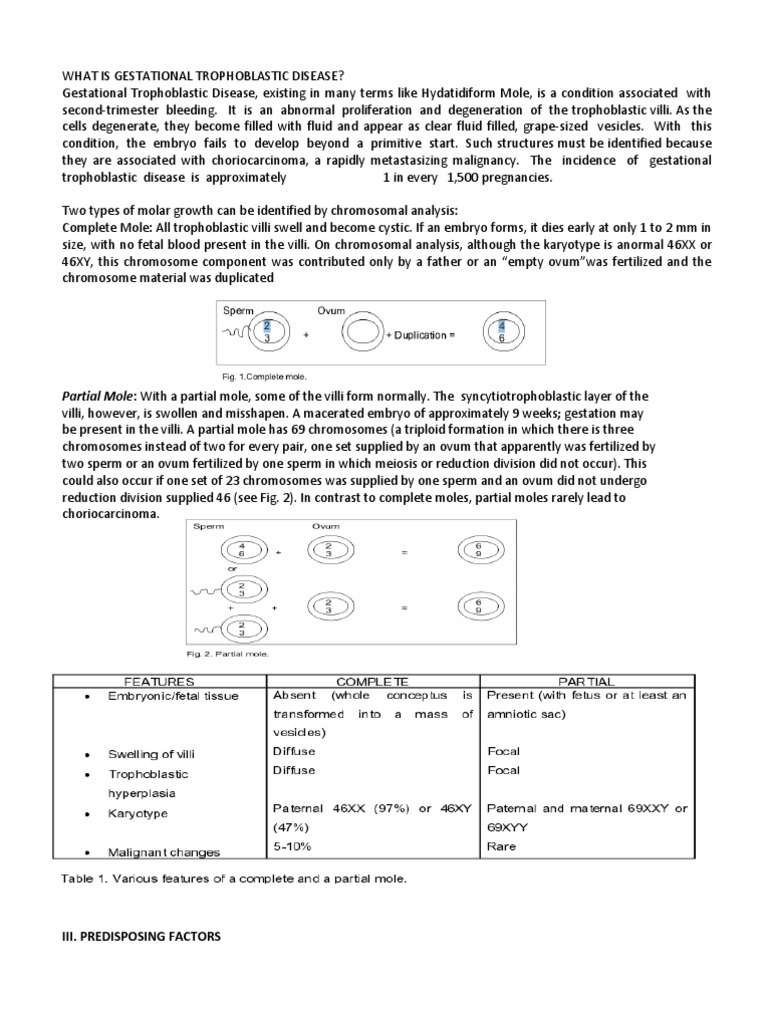 H Mole | PDF | Medicine | Health Sciences